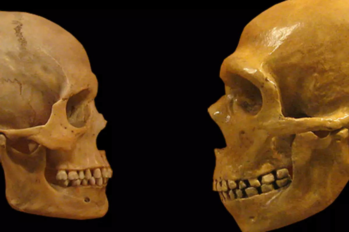 Y-chromosome neanderthal da aka samu daga wani mutumin zamani 100716_2