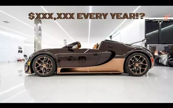 ما هي كميات الأموال تكاليف محتوى Hypercar Bugatti Veyron 1077_3