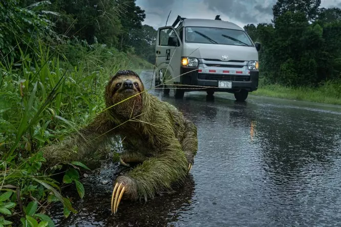 Fotografi yang menang dalam kategori orang dan alam (bahasa Inggeris.