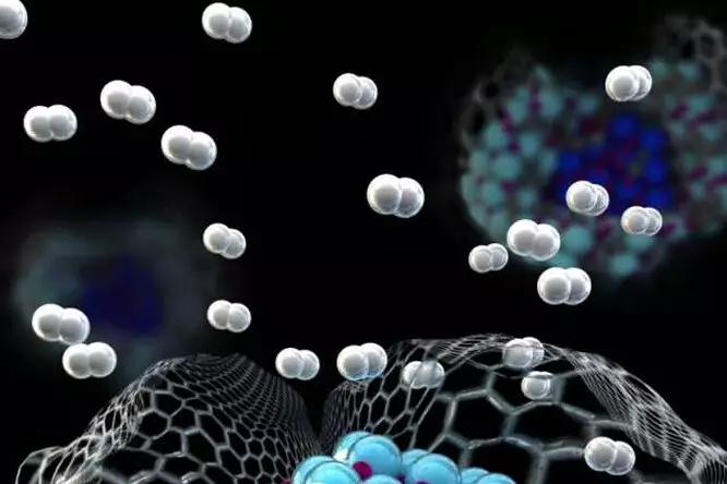 Nanopariks süňk ýüp öýjügindäki genleri öçürmäge kömek etdi 110326_2