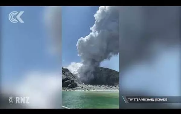 Cel puțin o persoană a murit când o erupție vulcanică în Noua Zeelandă 1403_4