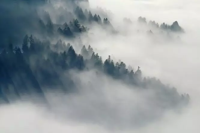 რას ნიშნავს 