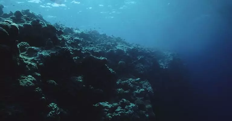 Onde nas zonas mortas do oceano e o que são perigosos para nós com você