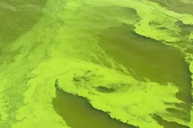 A na-akwado cyanobacteria dị njikere ịmasị mars, booplations formpors, hazie nde ndị tọn hydrocarbons. Isi na February 17 238706_2