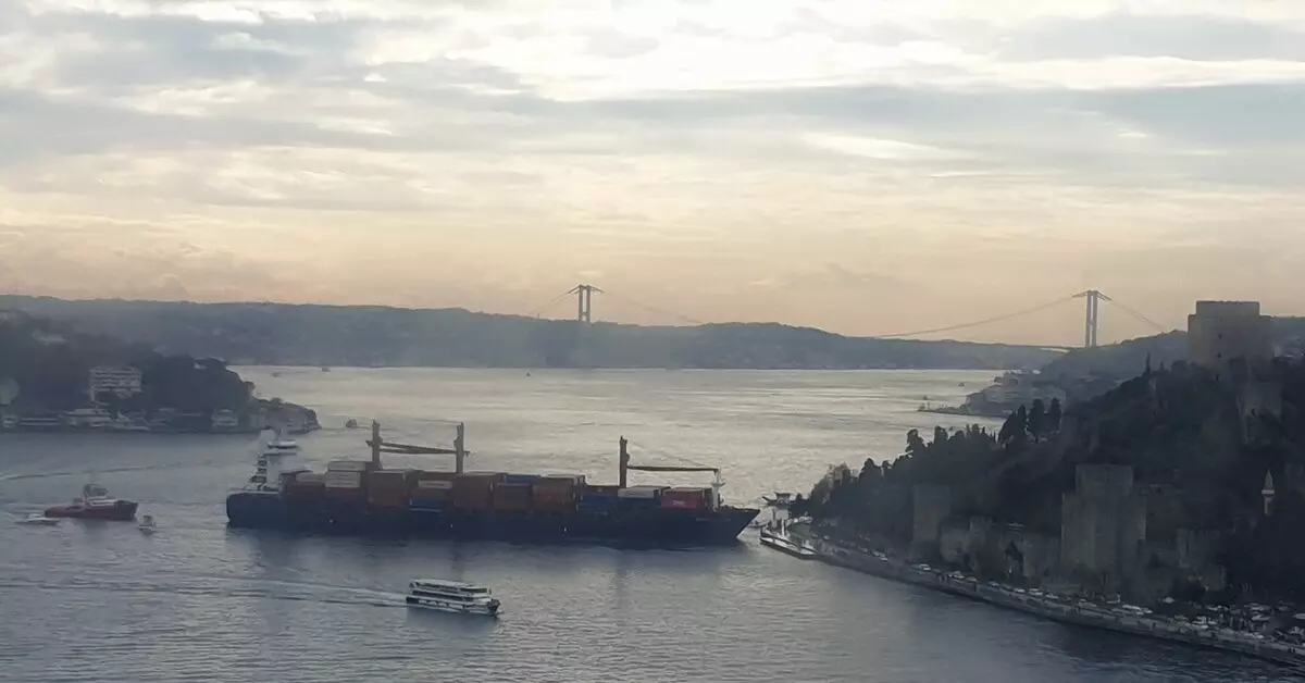 Droog vrachtschip gesneden in de jachthaven geblokkeerd door Bosphorus: video