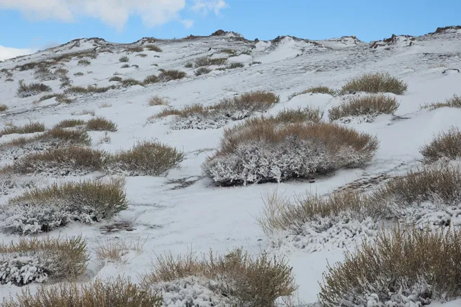 OleNevode è sopravvissuto dopo 16 giorni in Tundra senza cibo