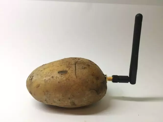 Smartpotato.