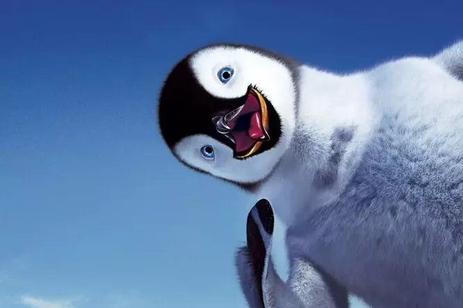 20 Legrační fakta o tučňáci