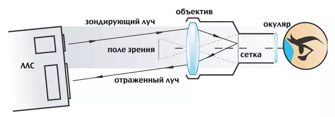 Nchụ nta dinta 318979_6