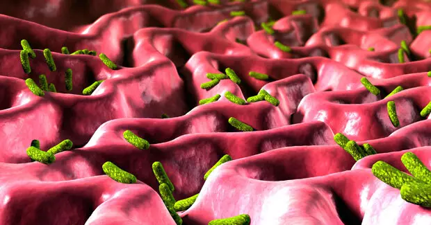 Microbiologii au arătat motivul formării acneei