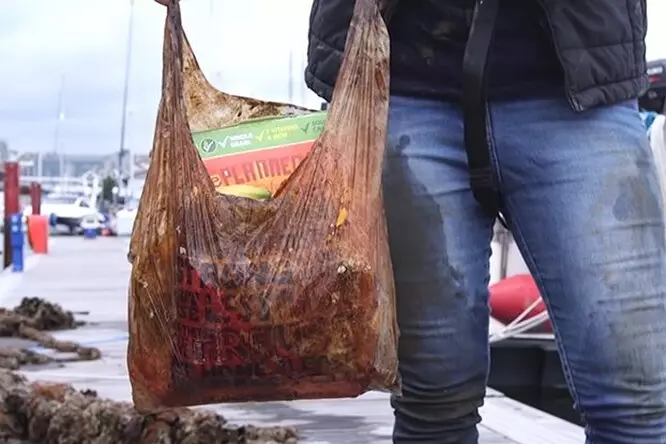 Biodegradable plasto ne solvas la problemon de poluado: la opinio de sciencistoj 326452_2