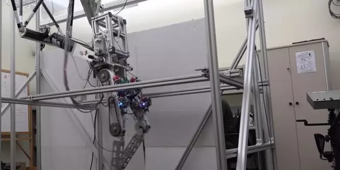 Video: Robot on the treadmill 332026_3