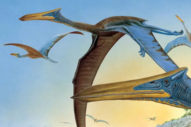 Foraminifera는 Pterosaur Kakashka에서 발견되었습니다 335190_2