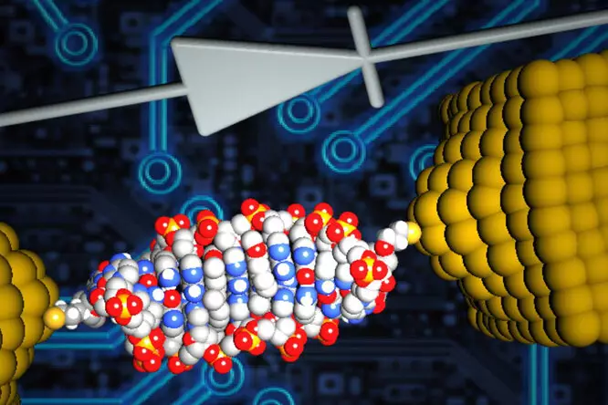 Déi klengst Diode op der Welt ass aus DNA 337197_2