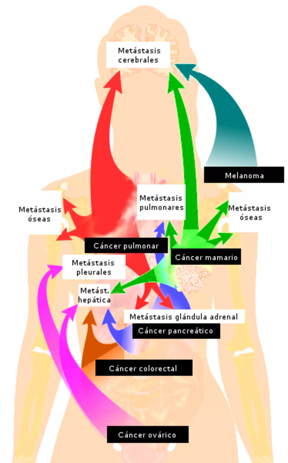 ඡායා රූප