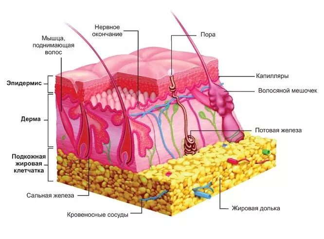 Nuotrauka