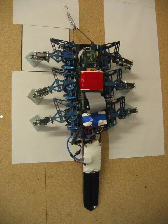 El robot de la escalada de Boston Dynamics se inspiró en el ser más agradable, una cucaracha. Pero puede escalar casi cualquier cosa, paredes, cercas, árboles y adaptarse casi a cualquier superficie.