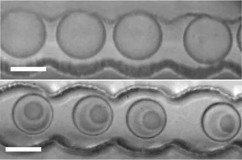 Protorturátci jsou spontánně tvořeni z biomolekul