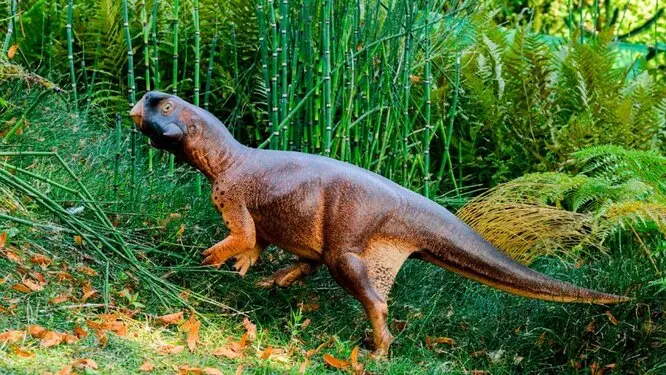 O le toe fausiaina o le dinosaur lanu ua faamaonia na ia nofo ai i le vaomatua 345259_2