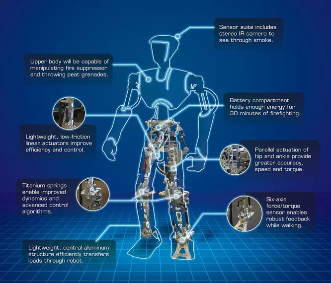 Robot Tân Saffir.