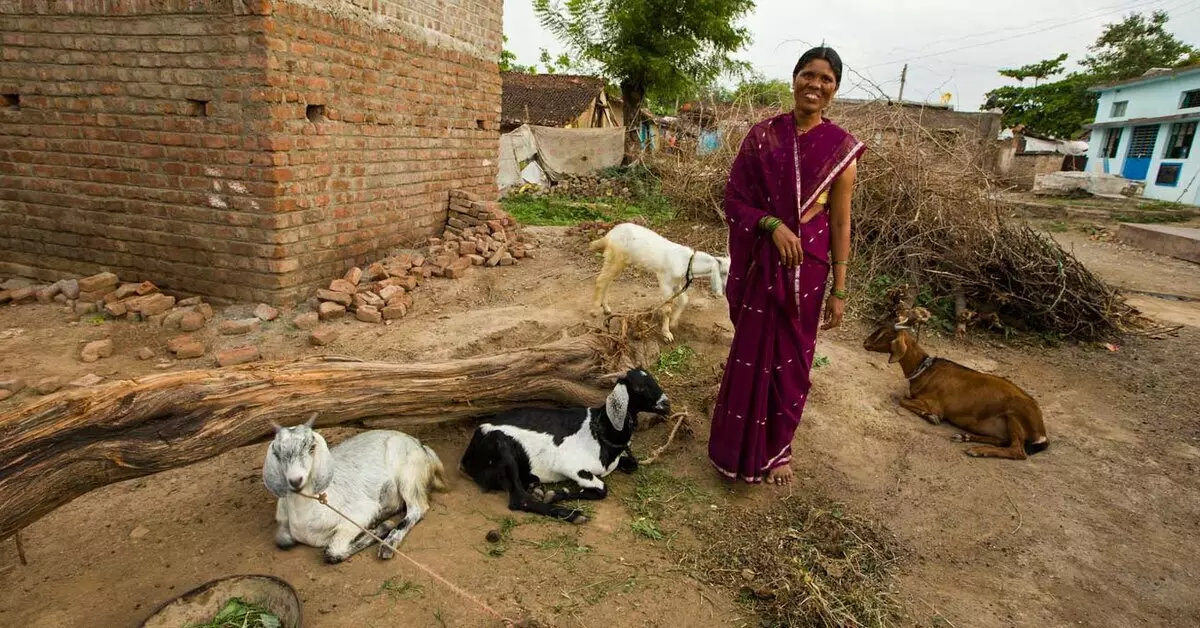 Cén fáth go n-éireoidh an India le mutant gabhar le haghaidh an tseanfhear