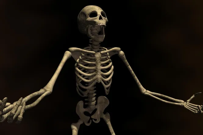 Amerikalı bir skeletlə gəzmək üçün cərimə olunur