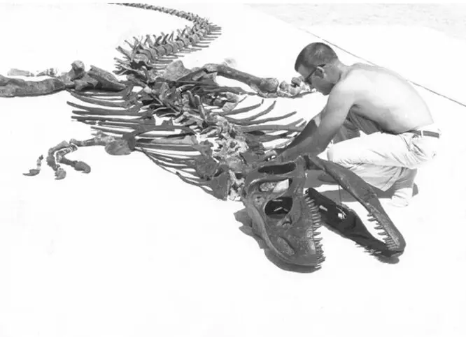 Jim Madsen Rests Mapfupa eAllosaur