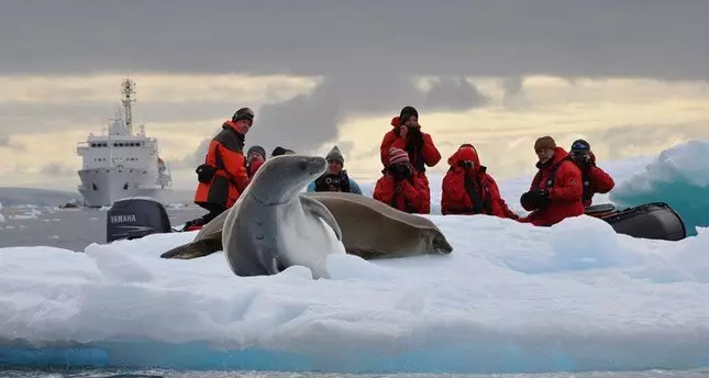 E hlaha ebile e makatsang: Ho etsahetse'ng ka Antarctica ka lilemo tse 200 4193_3