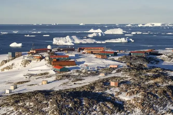 Daji da ban mamaki: abin da ya faru da Antarctica na shekaru 200 4193_4