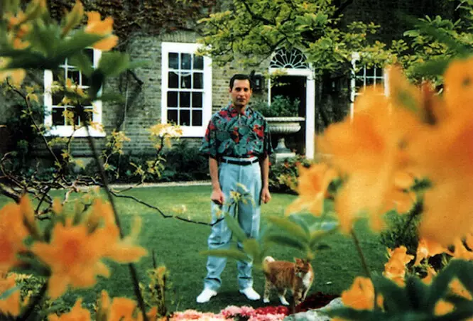 Freddie Mercury