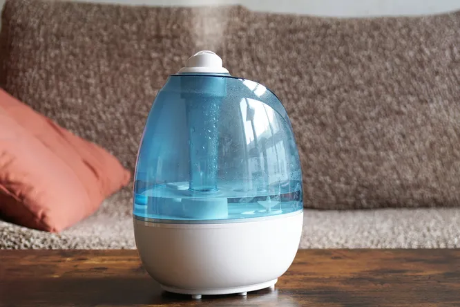 Kurarama Unyoro: Ungasarudza sei humidifier