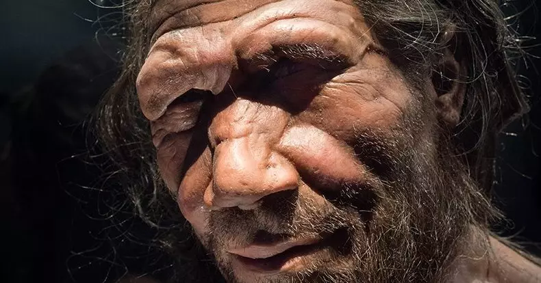 W genomie Afrykanów znaleźli neandertalskie geny: tajemnice przeszłości