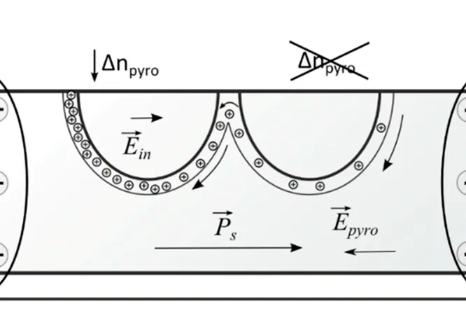 Ang Perm Physics nag-imbento sa dili hunong nga Internet alang sa Artiko