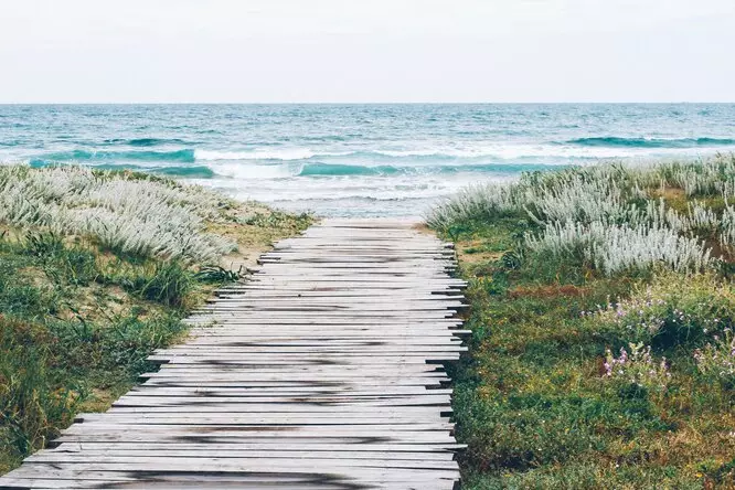 Il mare agisce sulla salute psicologica meglio della foresta 59348_2