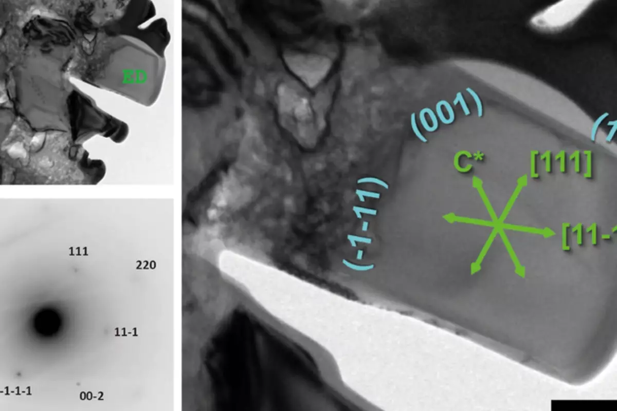 In the Metamorphites of Nagasaki detected micollimias 85671_2